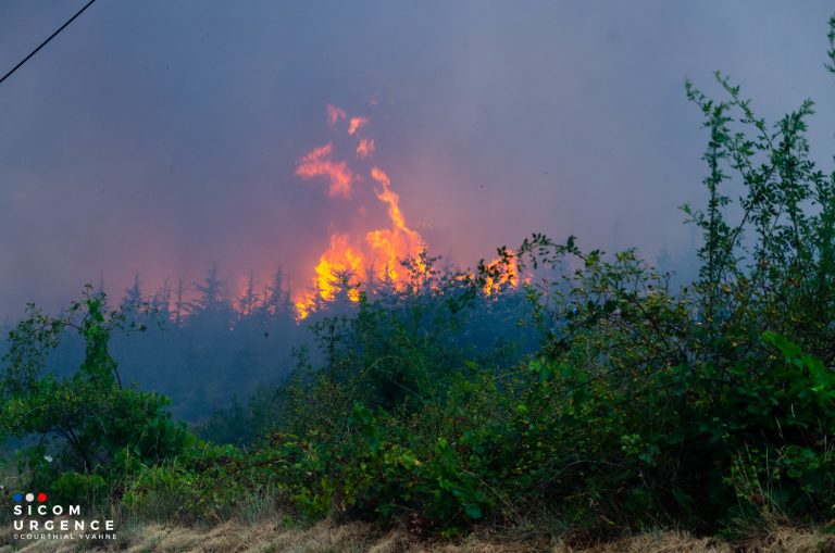 Feu de Forêt à St Marcel les Annonay (07) : 70 hectares détruit par les ...